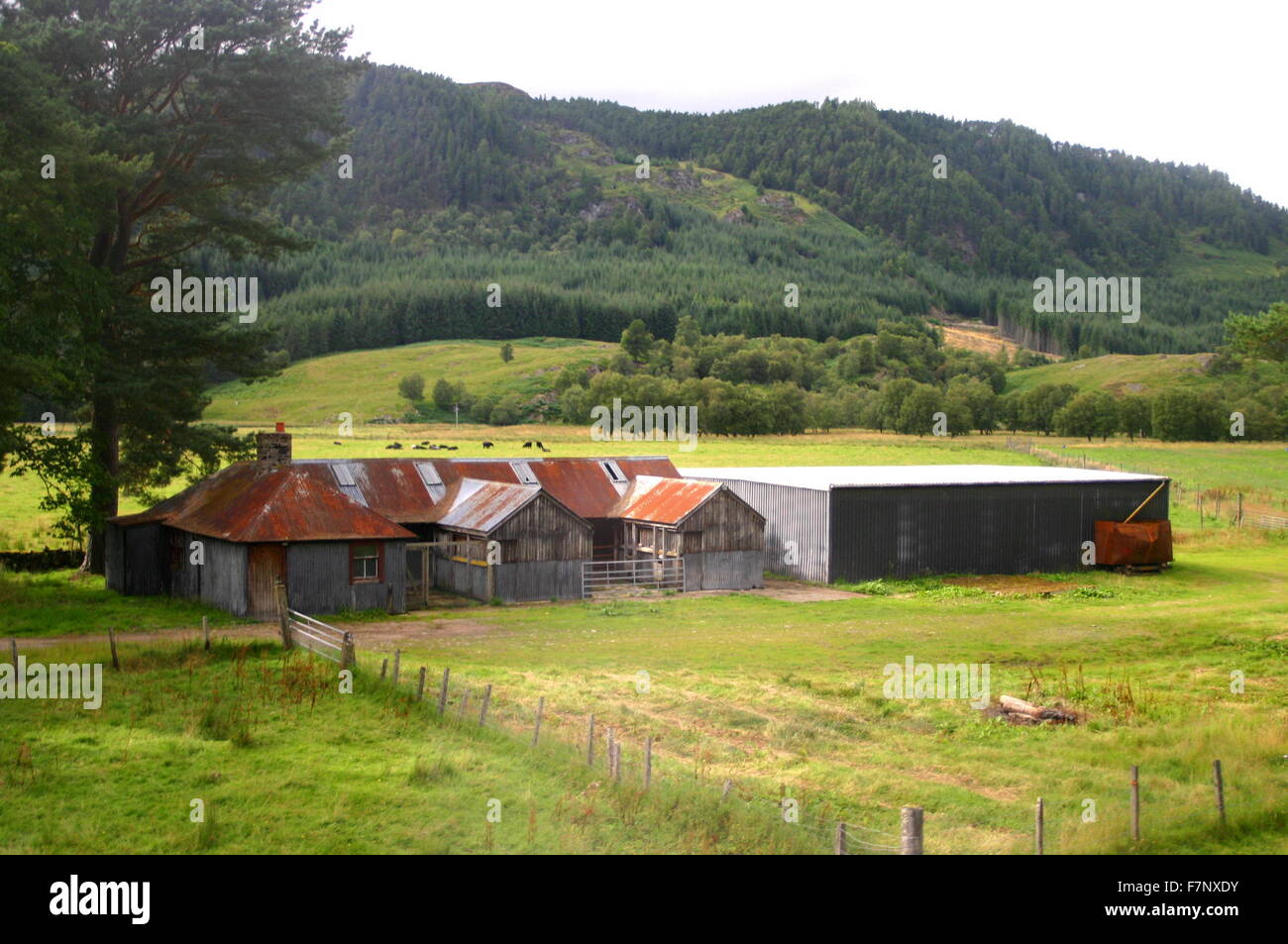 Scotland central highlands hi-res stock photography and images - Alamy