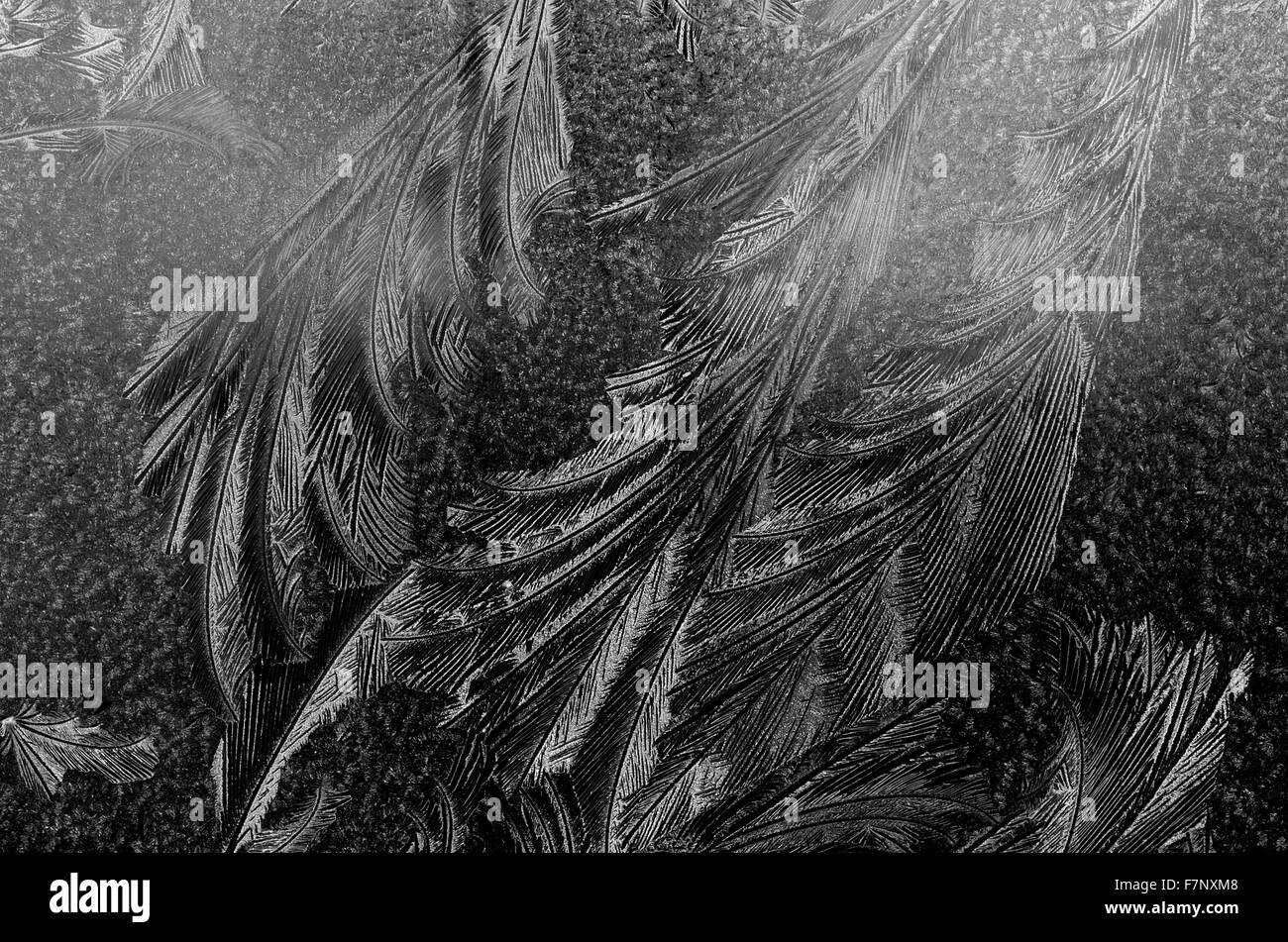 beautiful ice flower shapes and patterns on frost frozen window Stock ...