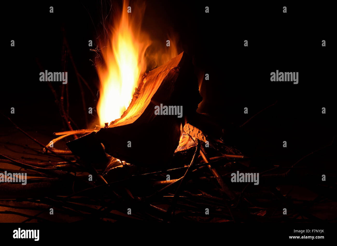 bright burning birch log fire in snowy winter nature at night Stock ...