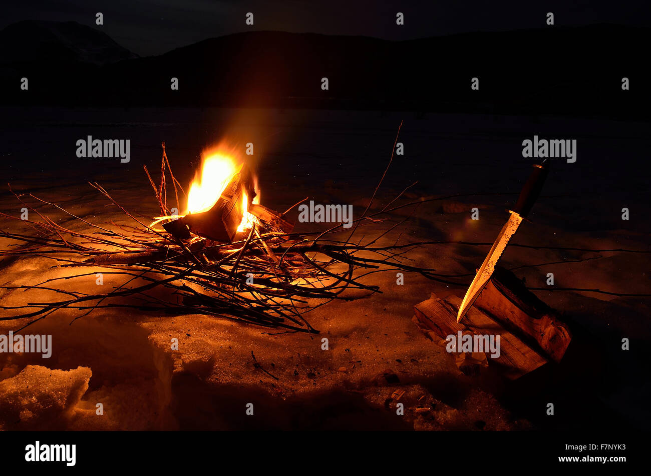 bright burning birch log fire in snowy winter nature at night Stock ...