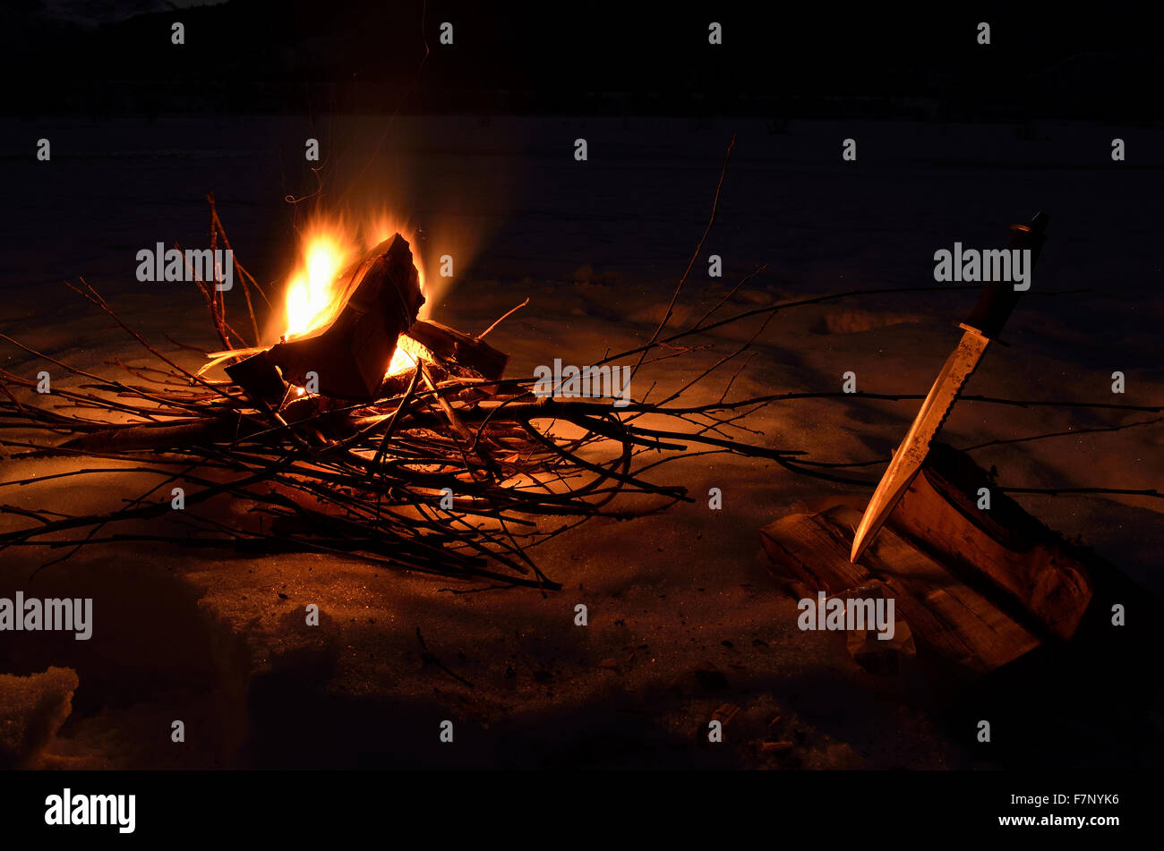 bright burning birch log fire in snowy winter nature at night Stock ...