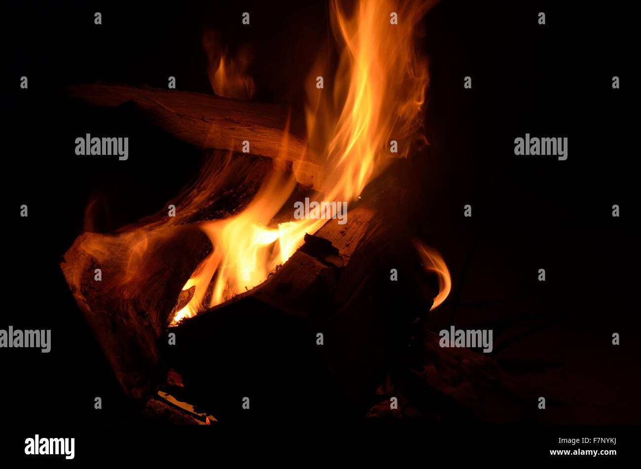burning birch log fire in winter nature Stock Photo - Alamy