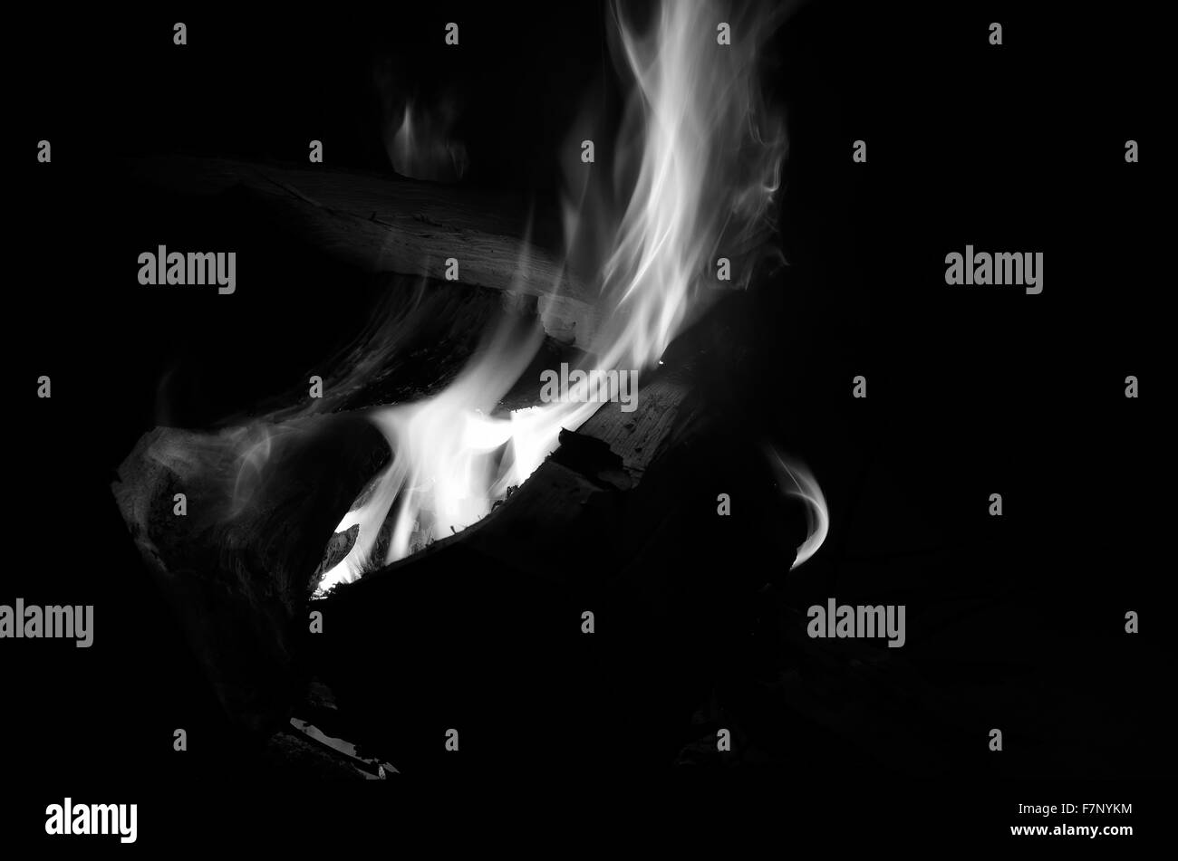 Birch wood in winter Black and White Stock Photos & Images - Alamy