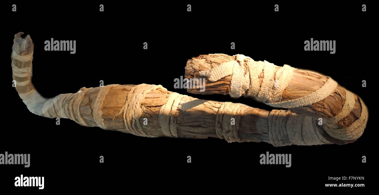 Funerary model boat from an Egyptian tomb. papyrus or palm stems and ...