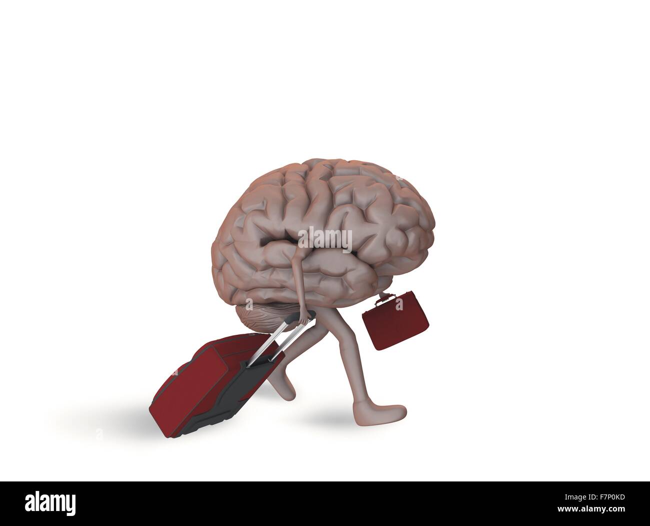Brain drain Cut Out Stock Images & Pictures - Alamy