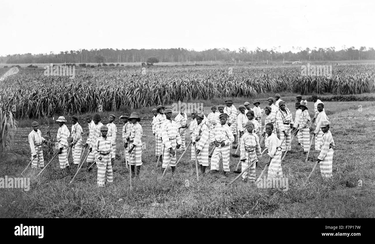 African-American convicts working in the fields in a chain gang1903 ...