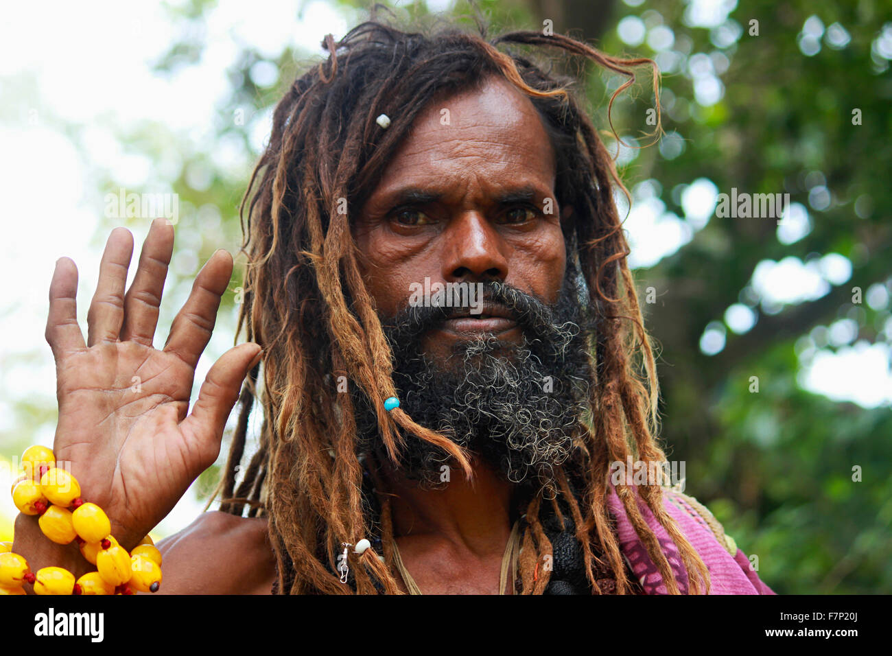 Sadhu with dreadlocks offers blessings Kumbh Mela, Nasik, Maharashtra ...