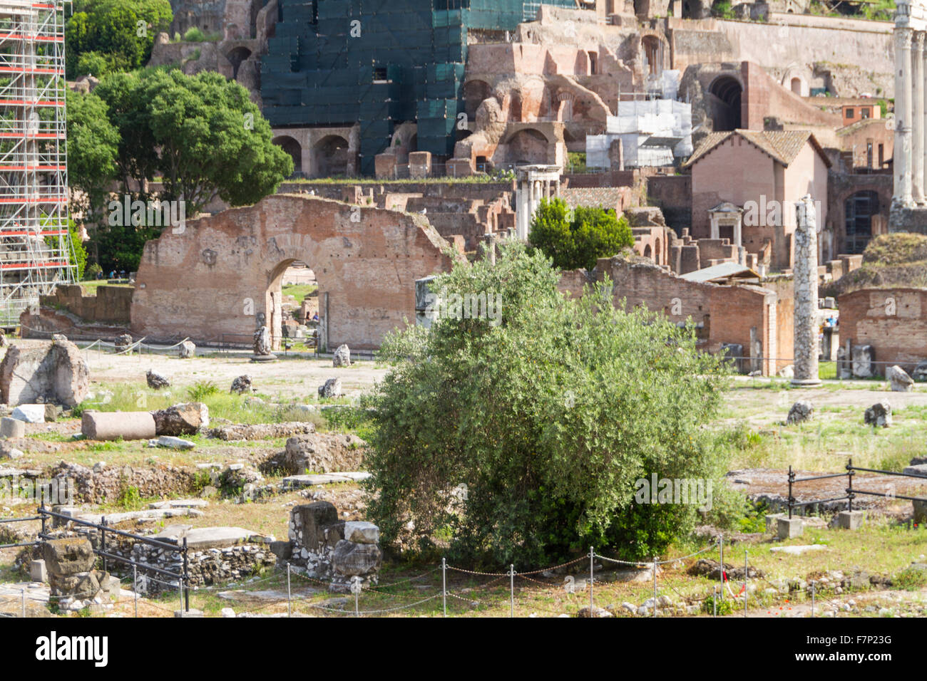 Building ruins and ancient columns in Rome, Italy Stock Photo - Alamy