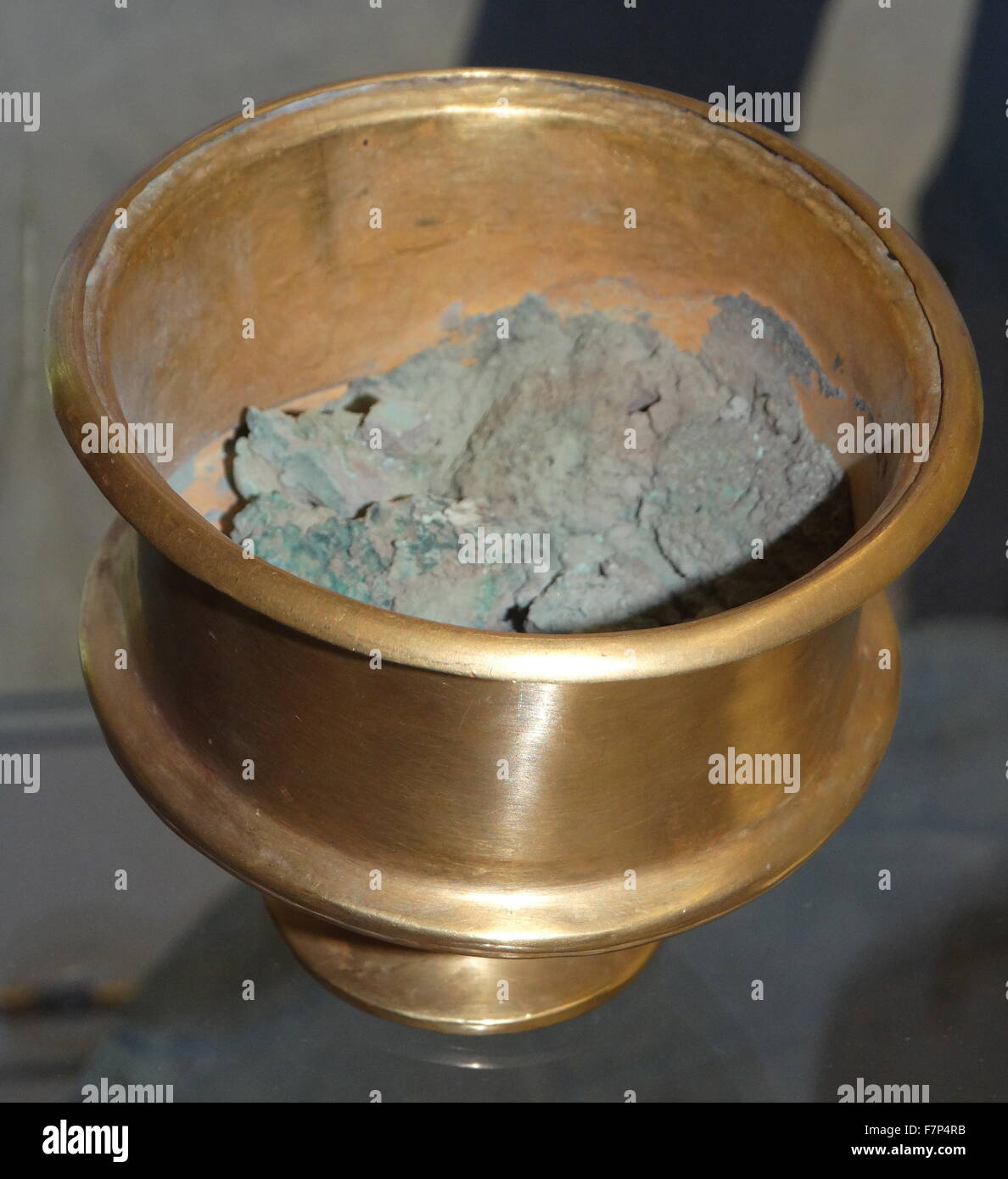 Gold shell hi-res stock photography and images - Alamy