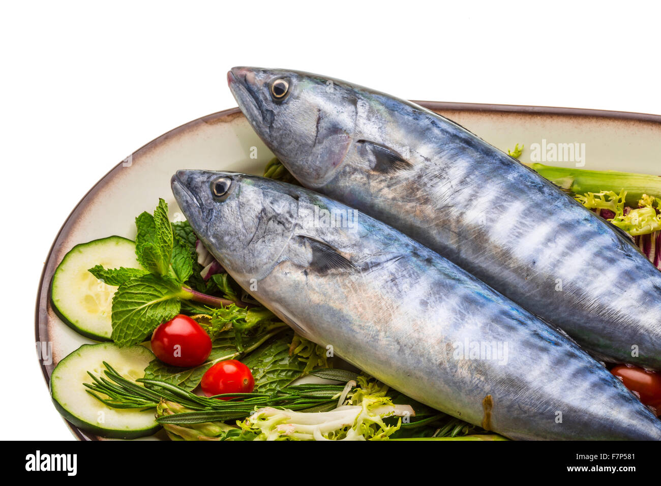 Atlanticmackerel hi-res stock photography and images - Alamy
