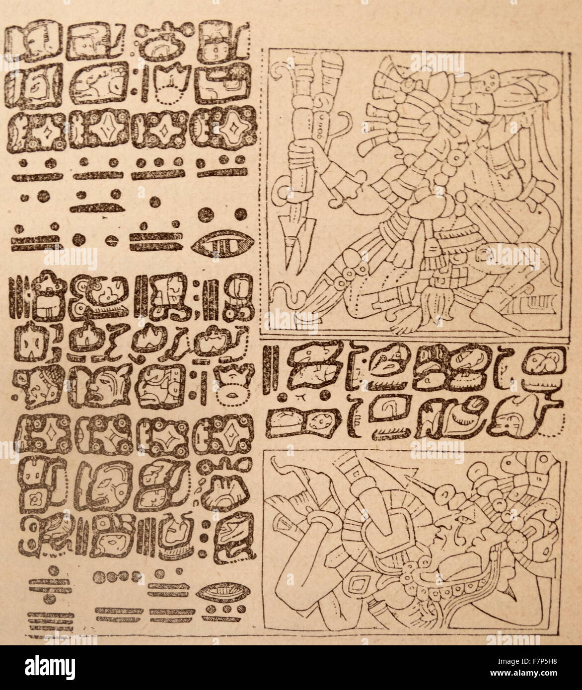 Mayan manuscript (known as the Dresden Codex). gods and demons are ...