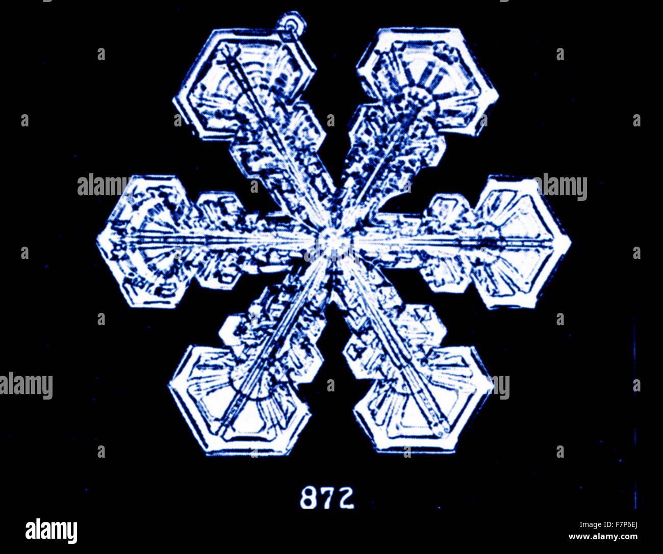 Studies among the Snow Crystals by Wilson Bentley 1902. Bentley was a ...