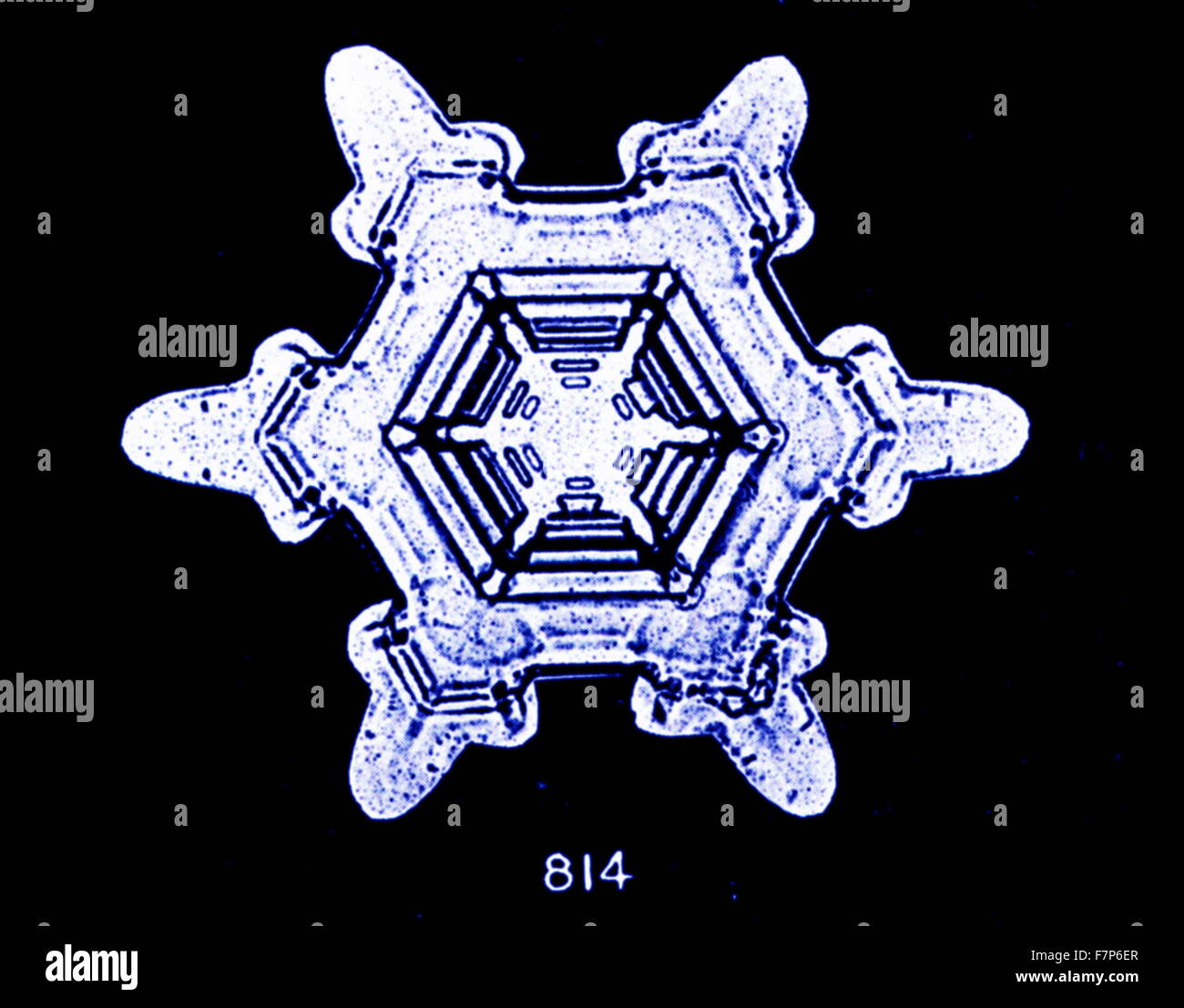 Studies among the Snow Crystals by Wilson Bentley 1902. Bentley was a ...