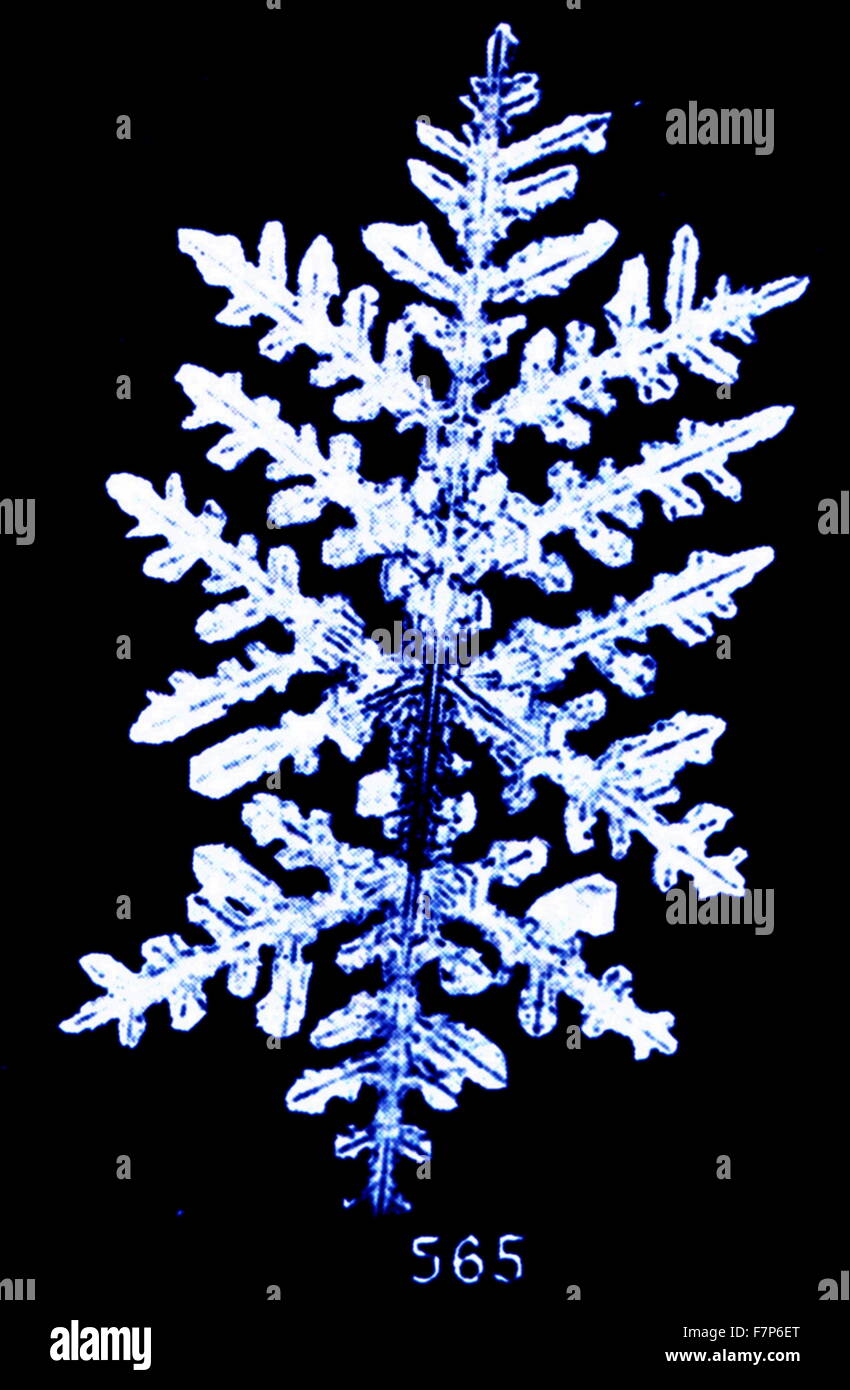 Studies among the Snow Crystals by Wilson Bentley 1902. Bentley was a ...
