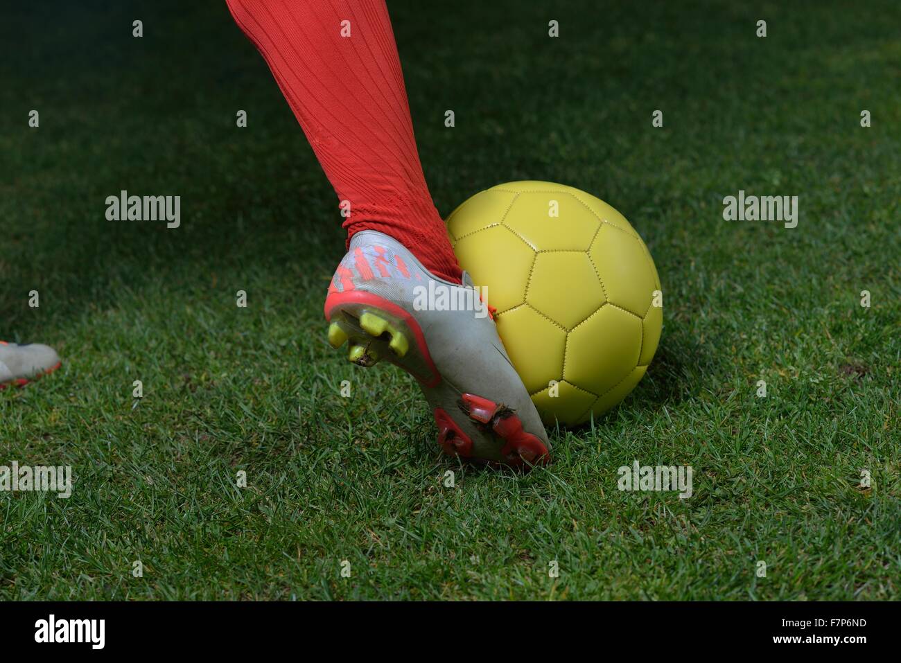 soccer player doing kick with ball on football stadium field isolated ...