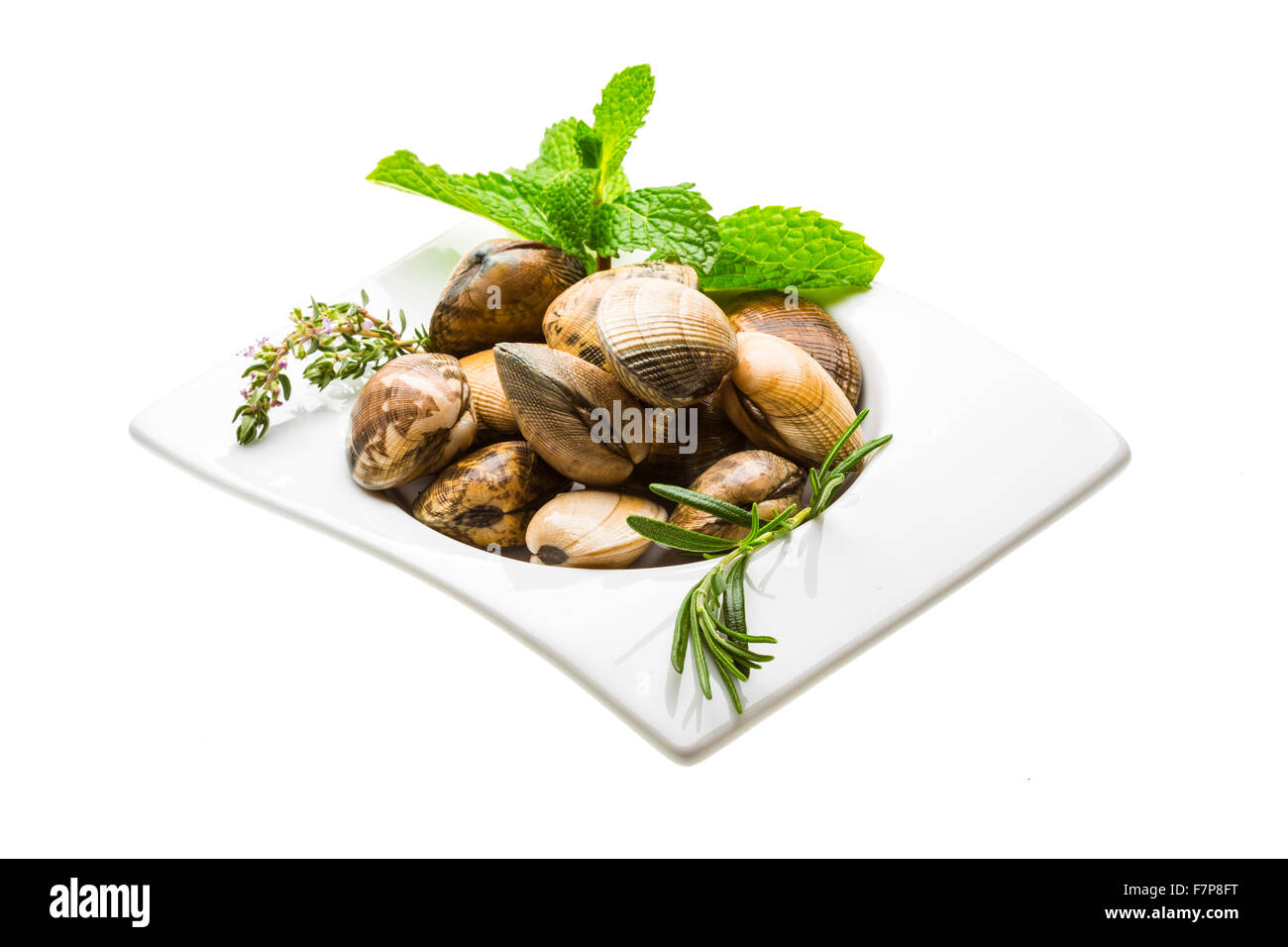 Almeja hi-res stock photography and images - Alamy