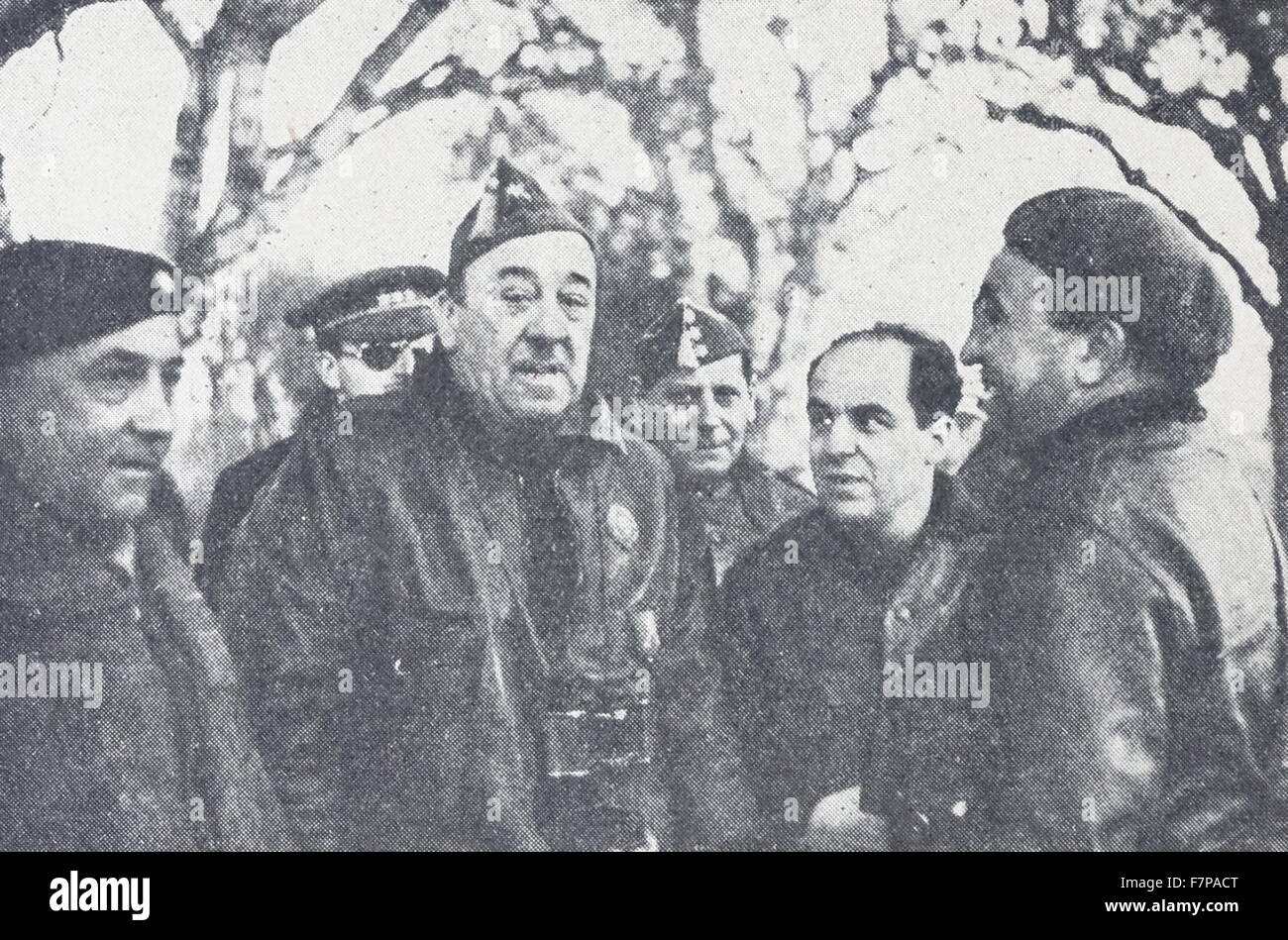 Moscardo hi-res stock photography and images - Alamy