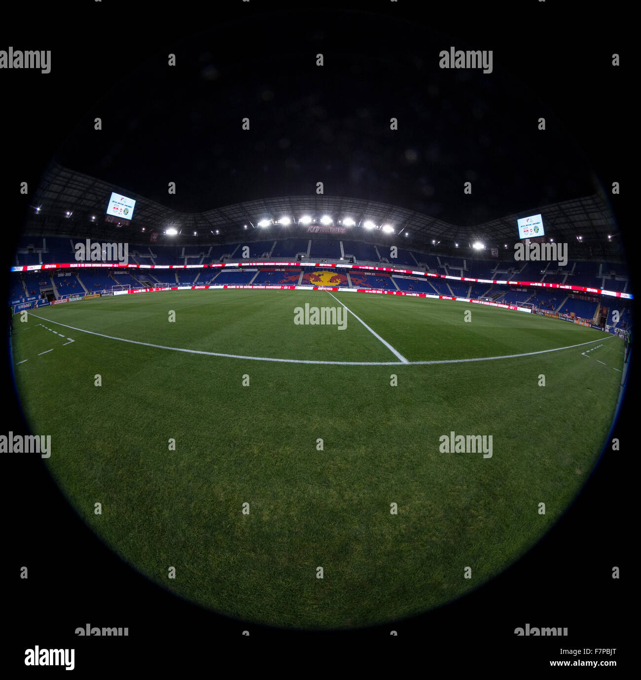 Red bulls hi-res stock photography and images - Alamy