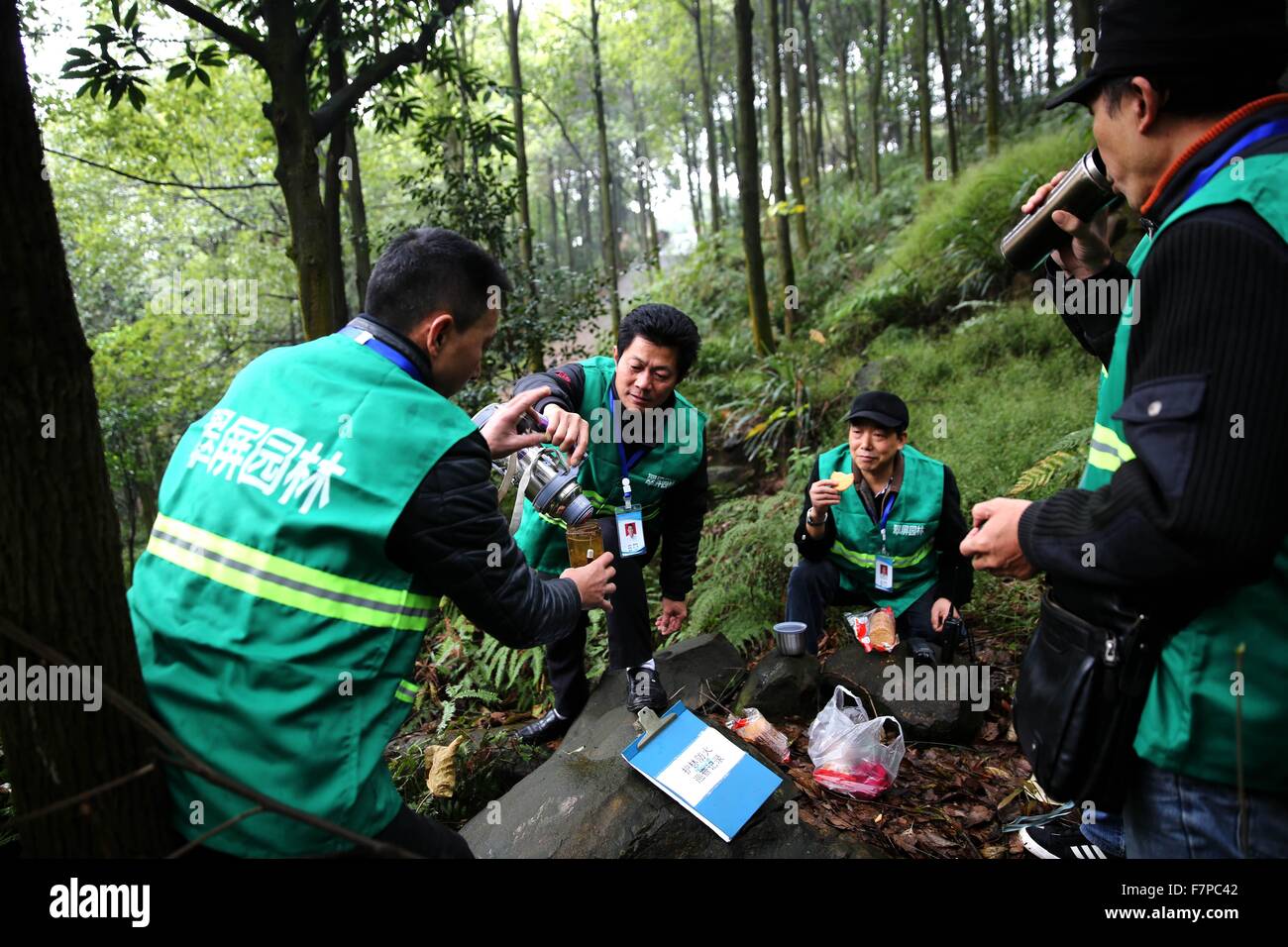 Yibin, China's Sichuan Province. 2nd Dec, 2015. Foresters have their ...