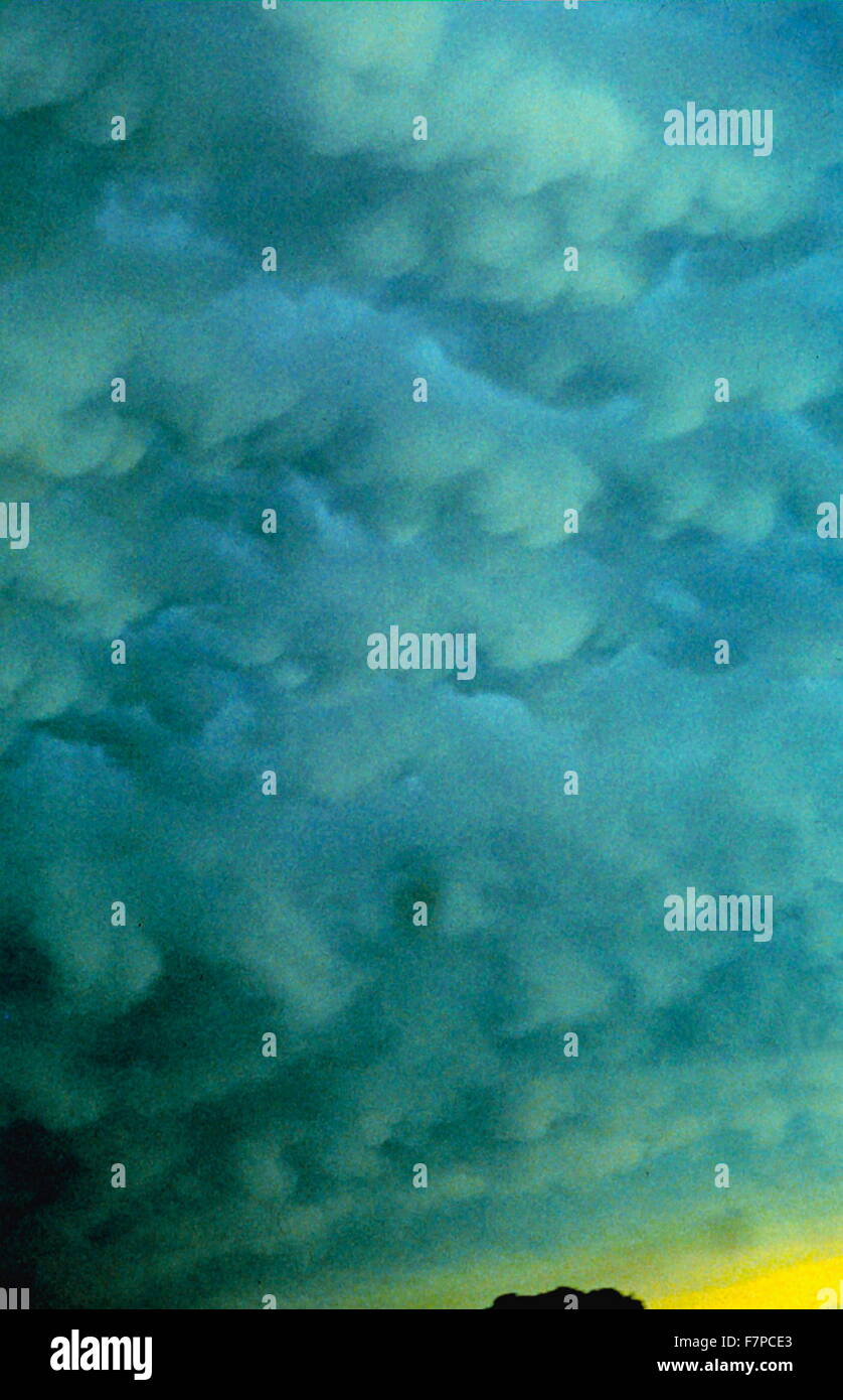 Mammatus clouds;also known as mammatocumulus), a meteorological term ...
