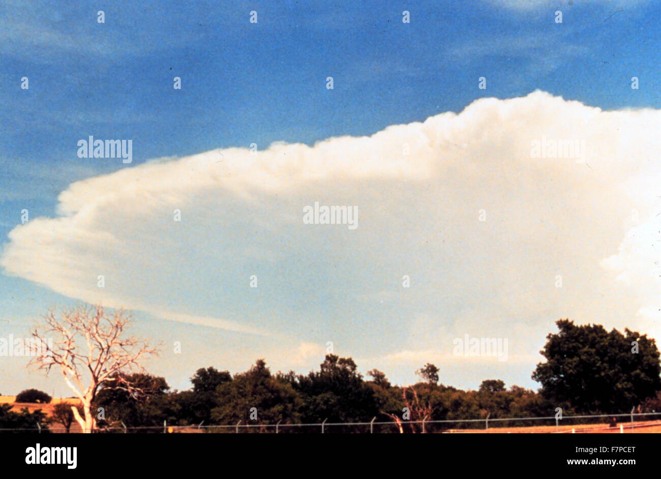large cumulonimbus thunderhead during early stages of developing storm ...