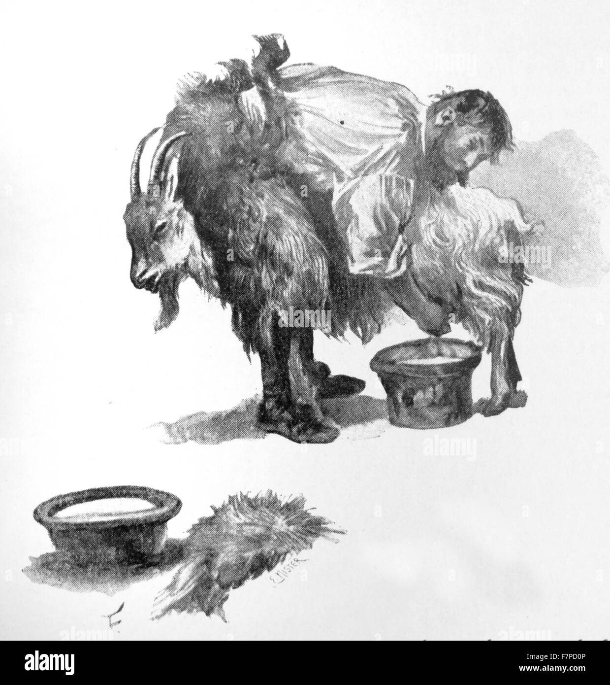 Illustration from a nineteenth century edition of 'Robinson Crusoe' a ...