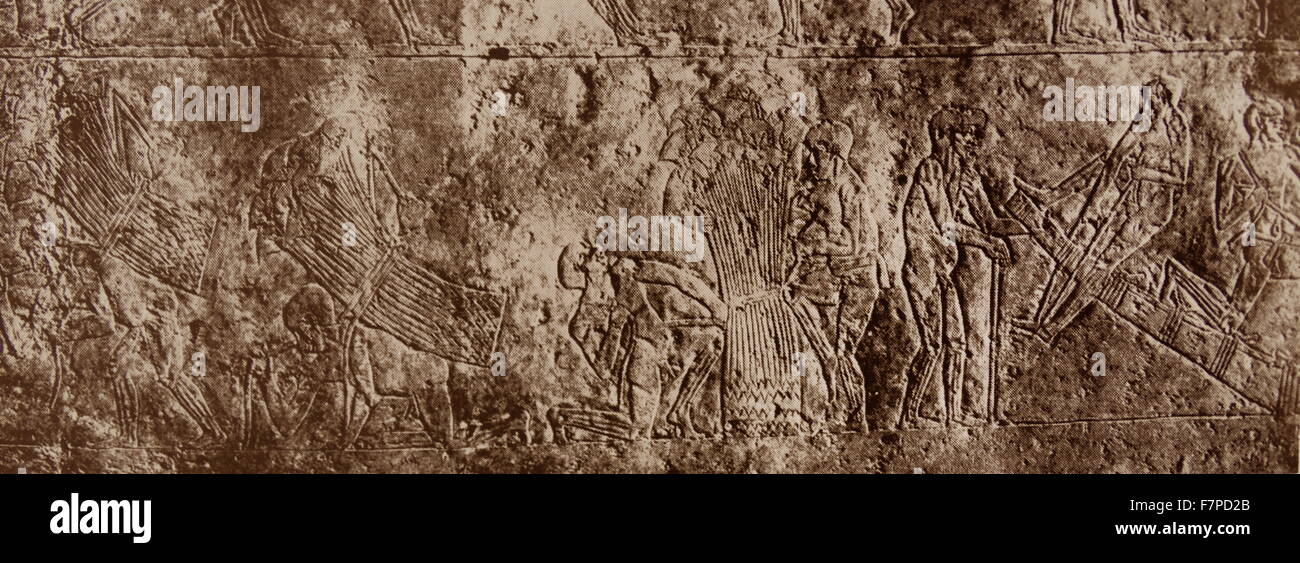 Egyptian papyrus harvest hi-res stock photography and images - Alamy