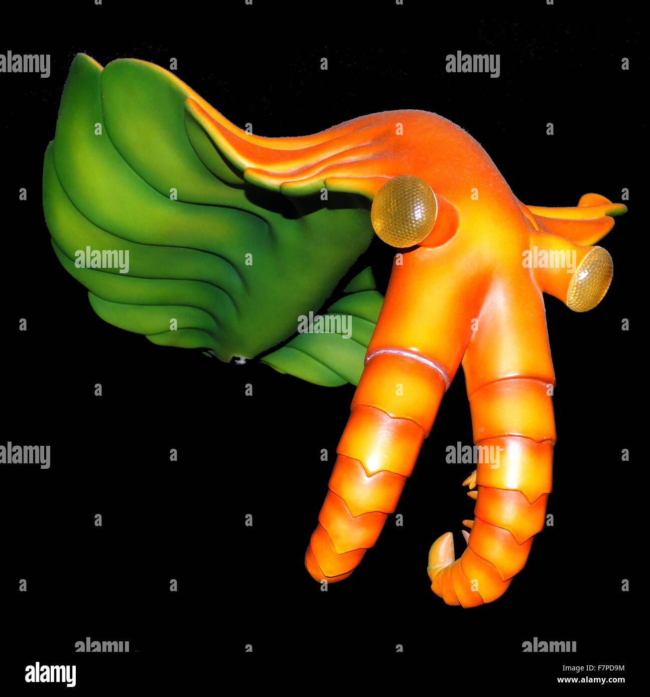 Anomalocaris hi-res stock photography and images - Alamy