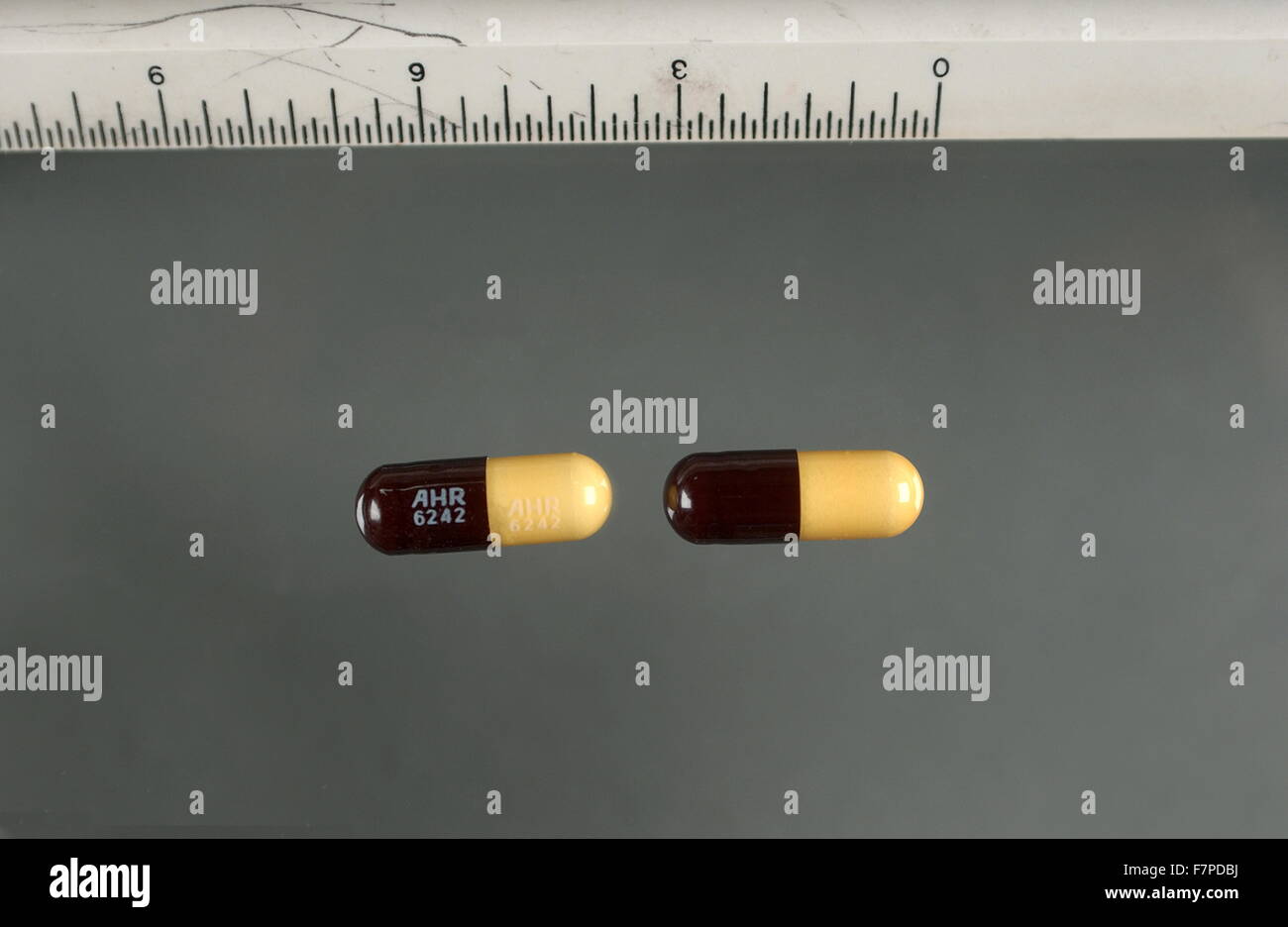 Phenaphen hi-res stock photography and images - Alamy