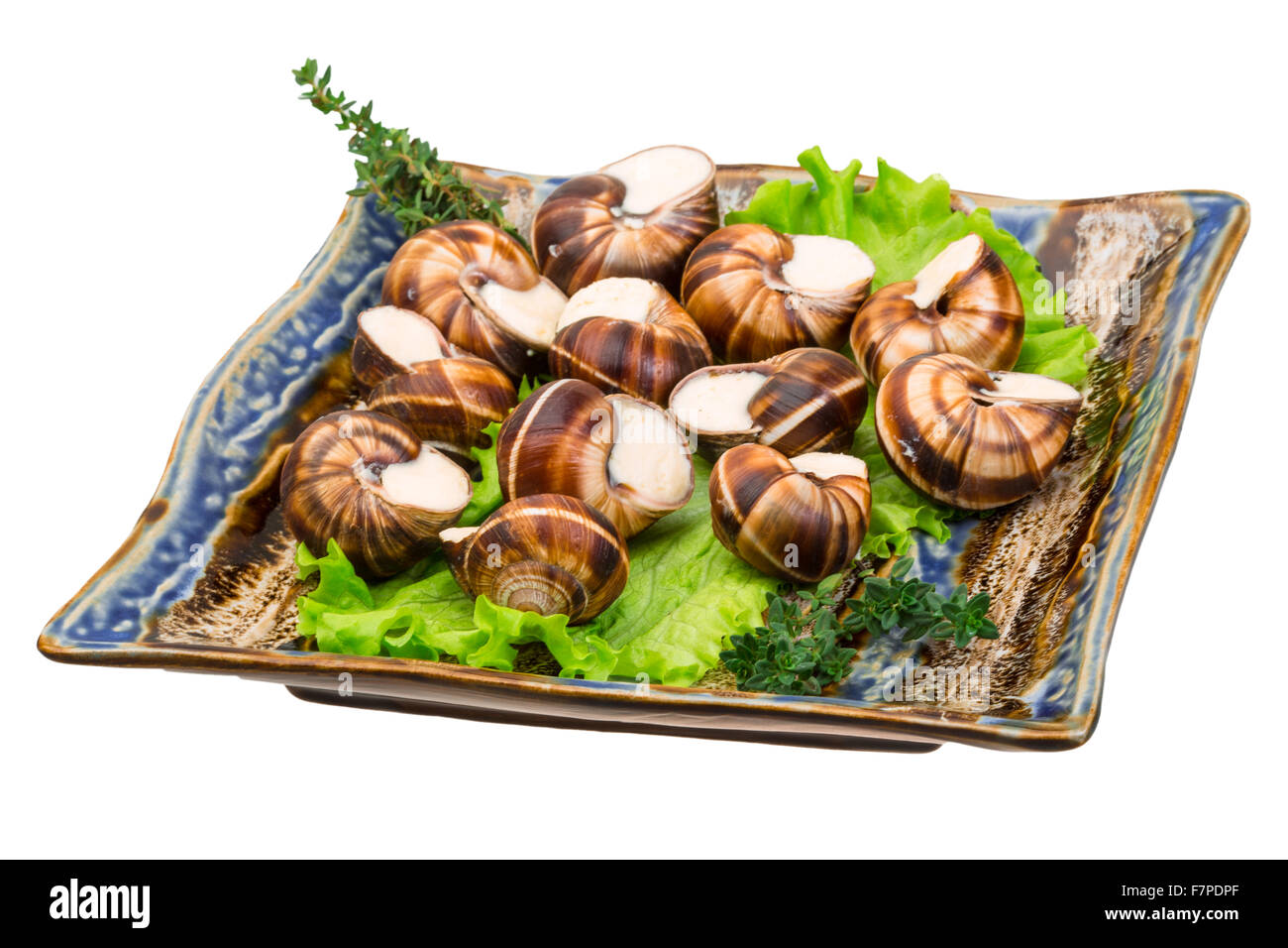 Escargot with cheese sauce Stock Photo - Alamy