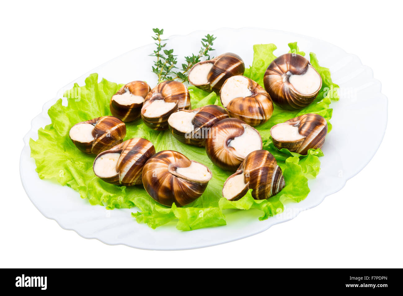 Escargot with cheese sauce Stock Photo - Alamy