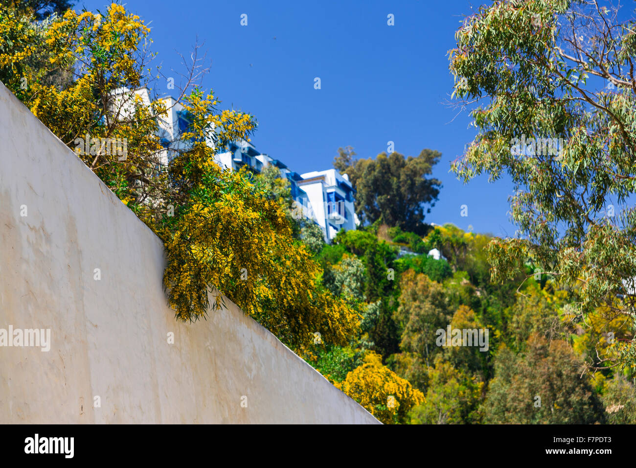 Old arabic town in Tunisia - Sidi Bu Said Stock Photo - Alamy