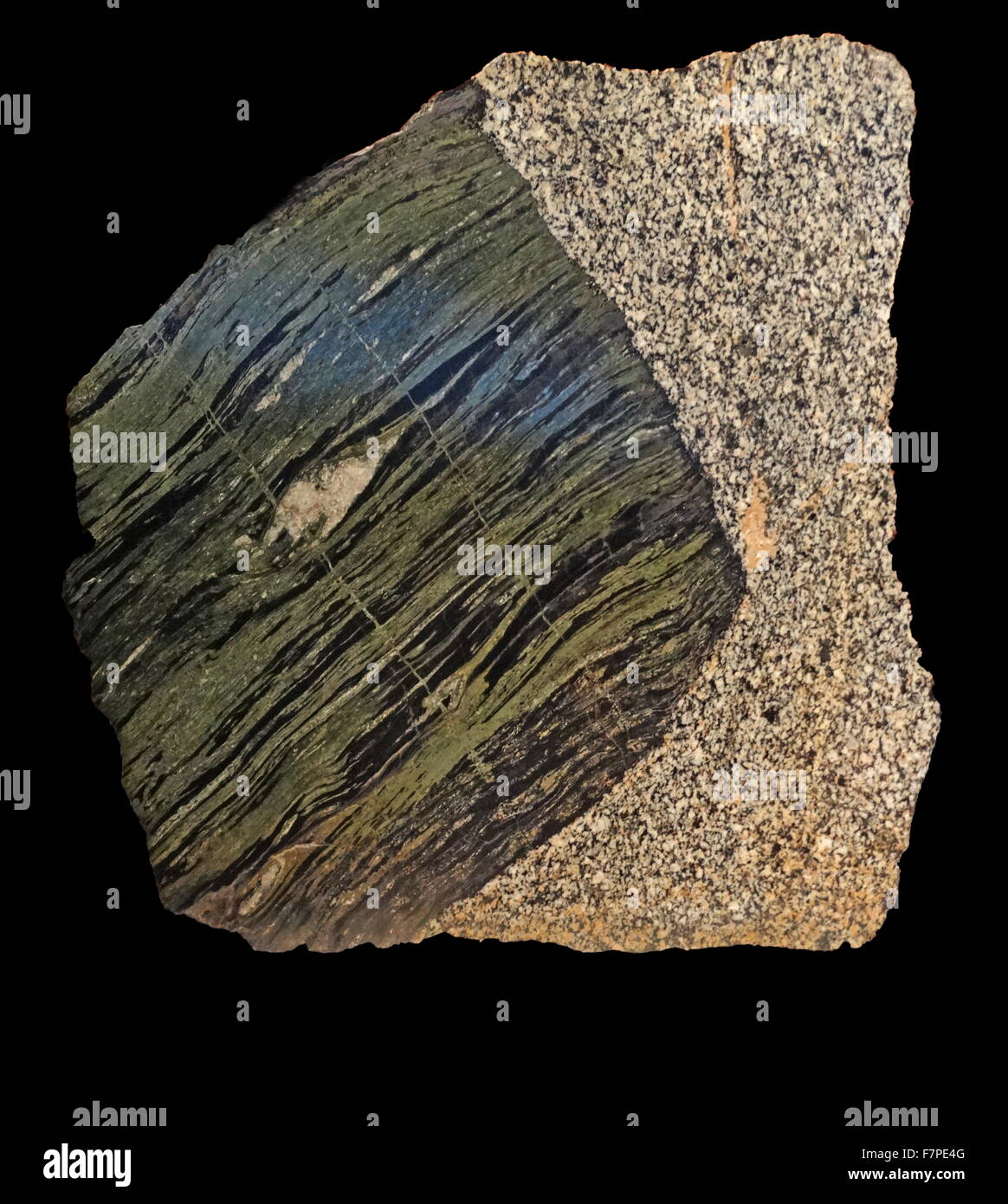 Inclusions In Rocks