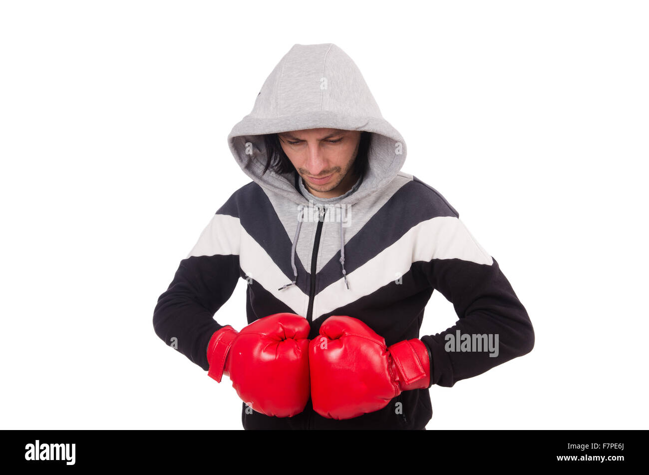 Funny boxer isolated on the white Stock Photo - Alamy