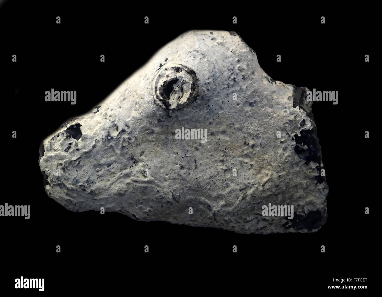 Flint in chalk hi-res stock photography and images - Alamy