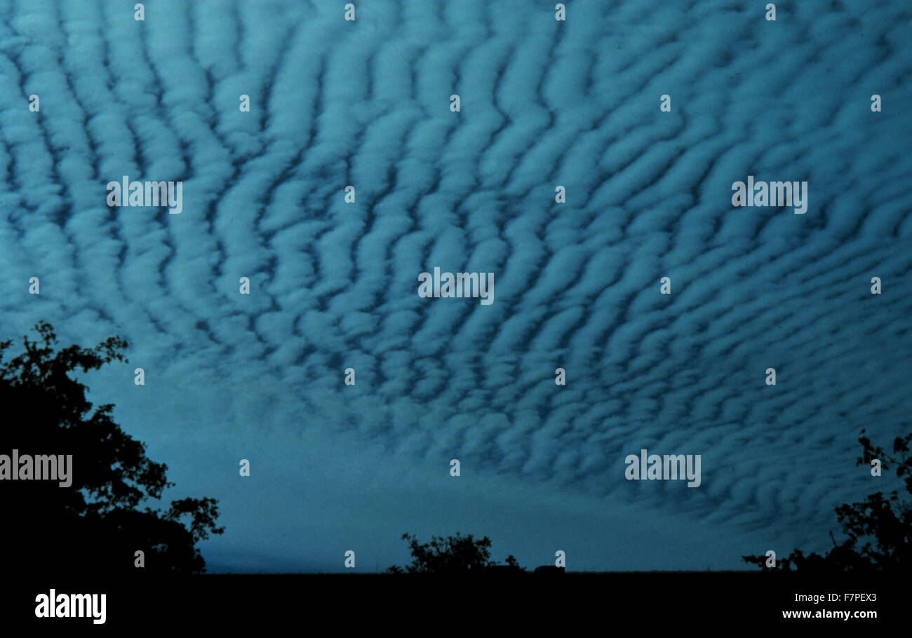 Photograph of Altocumulus cloud, a middle-altitude cloud genus that ...