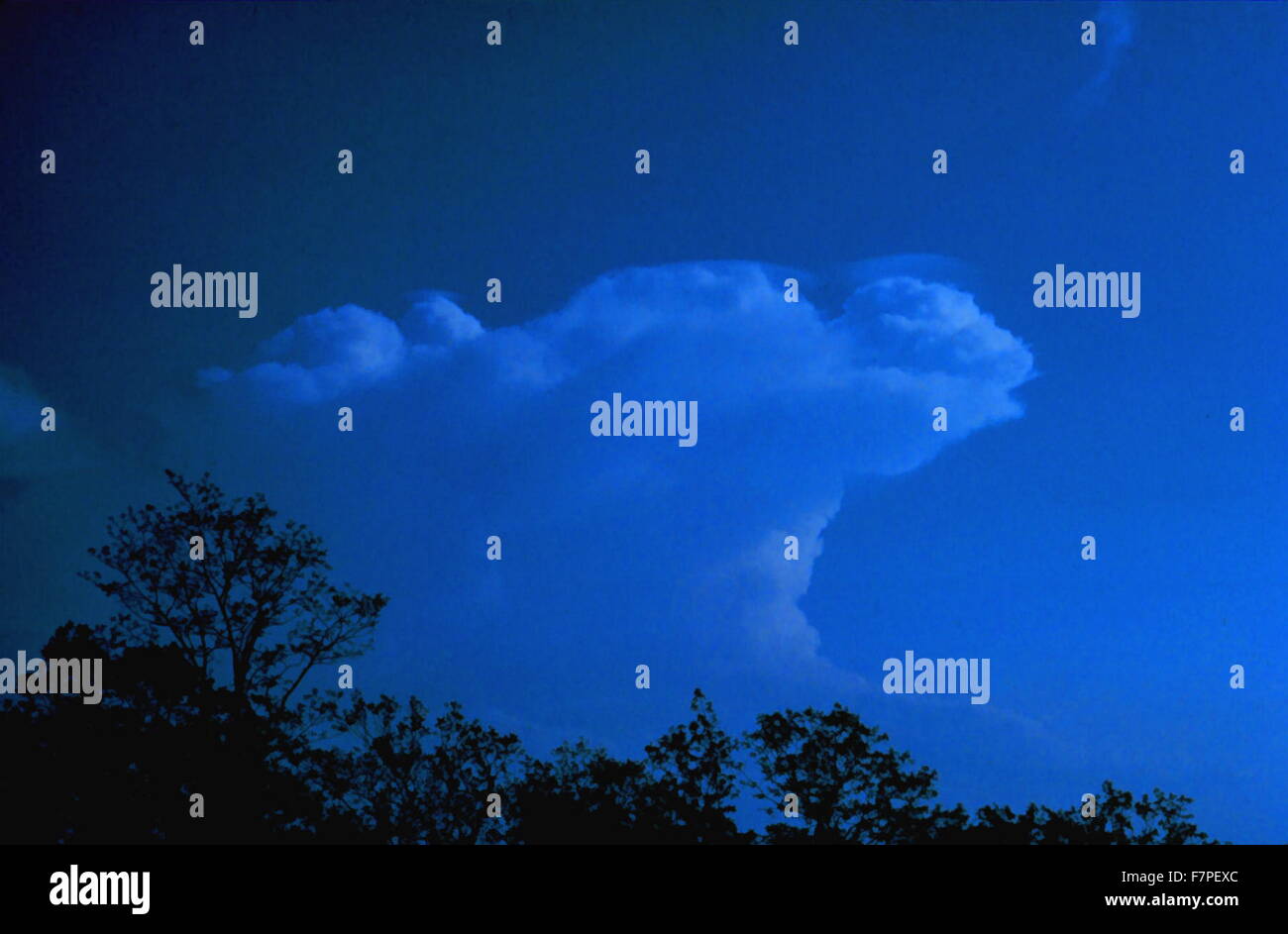 Photograph of developing Cumulonimbus clouds and several pileus caps ...