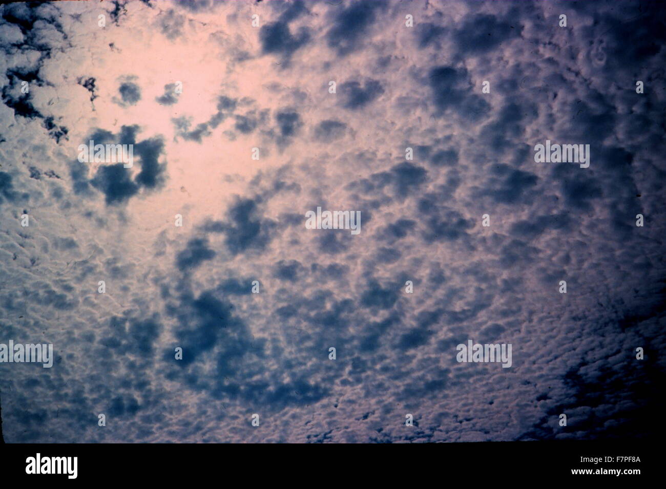 Photograph of Altocumulus cloud, a middle-altitude cloud genus that ...