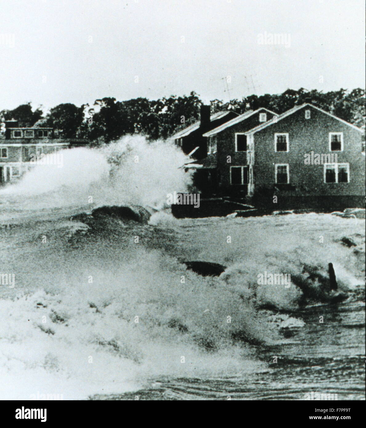 Carol Gray Rhode Island