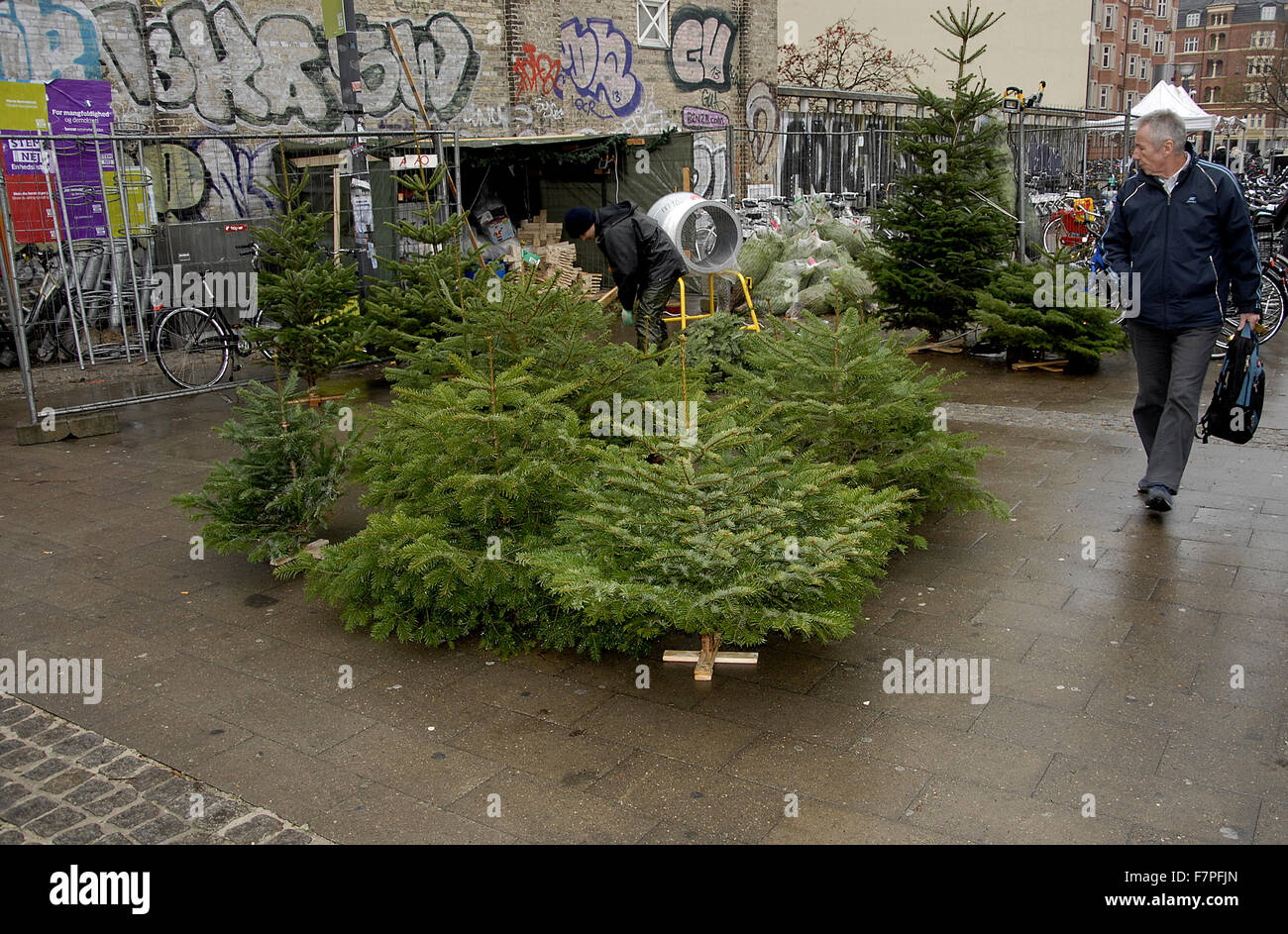 Selling live christmas trees hi-res stock photography and images - Alamy