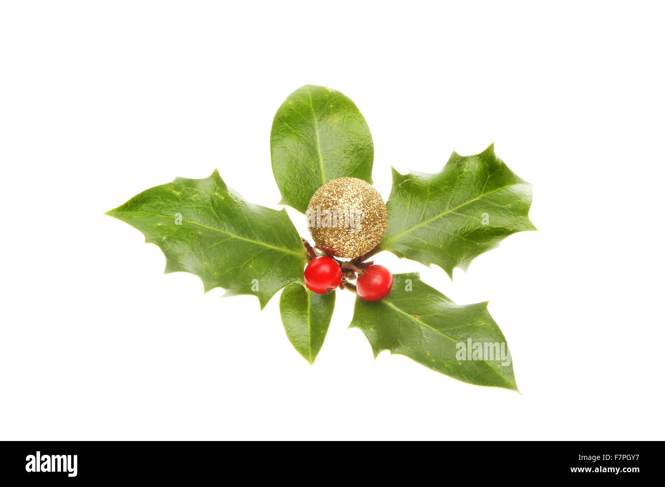 Sprig of holly with a gold glitter Christmas bauble and red berries ...