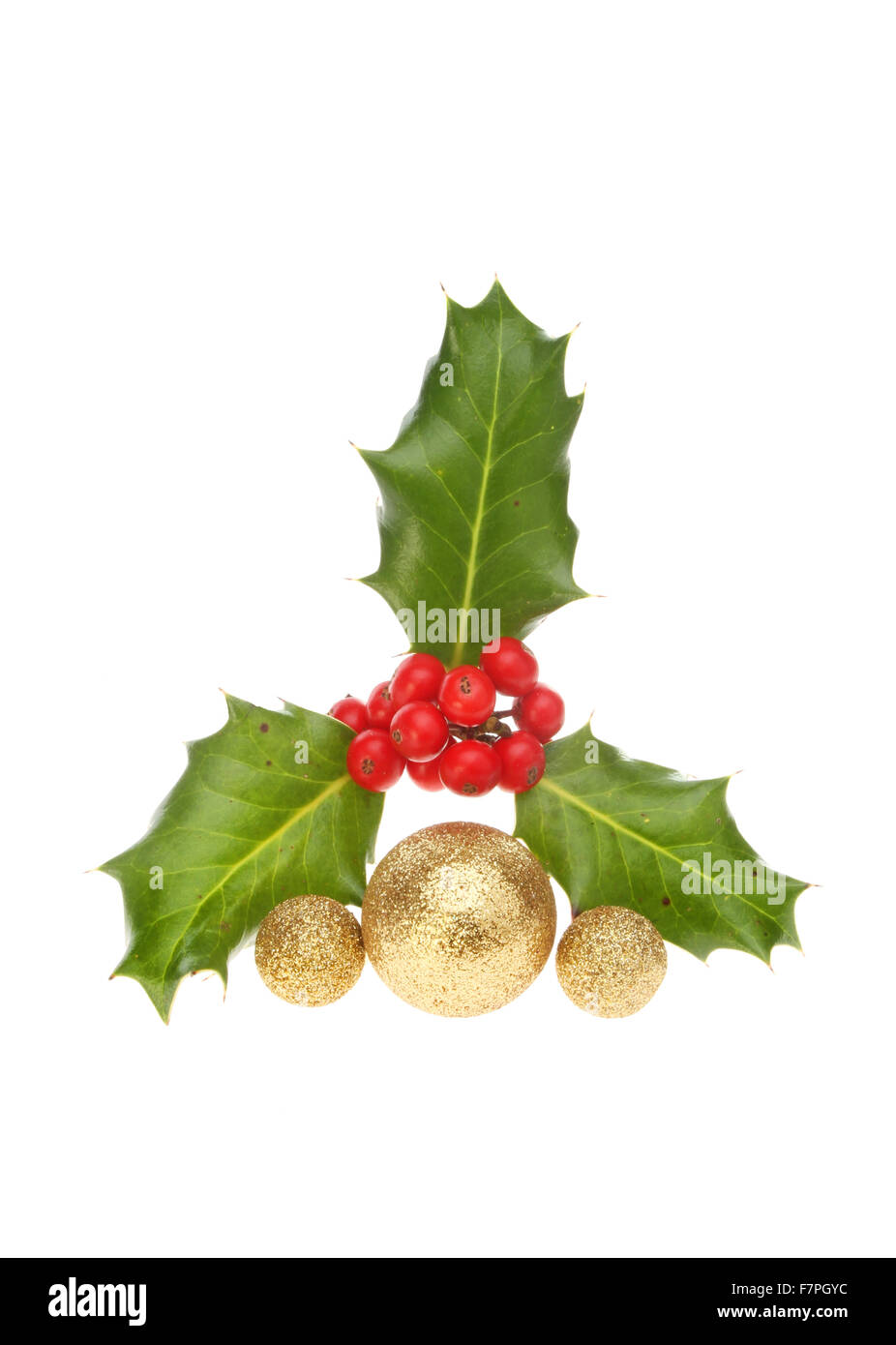 Sprig of holly with gold glitter Christmas baubles isolated against ...