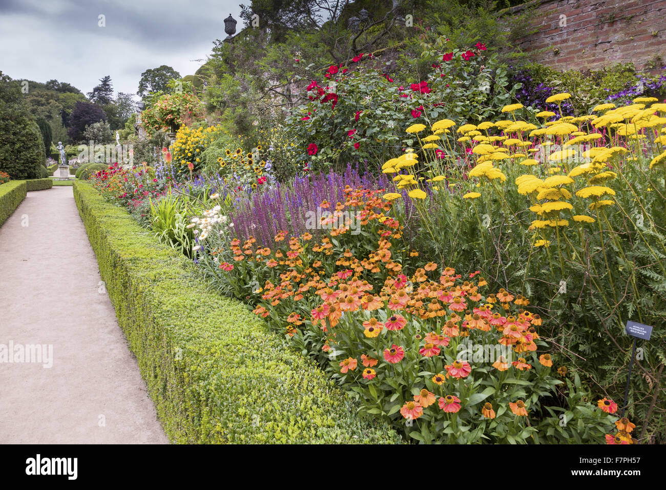 Summer border in full bloom along the Orangery Terrace at Powis Castle ...
