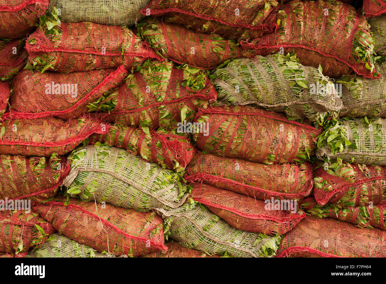Tea Sacks High Resolution Stock Photography and Images - Alamy