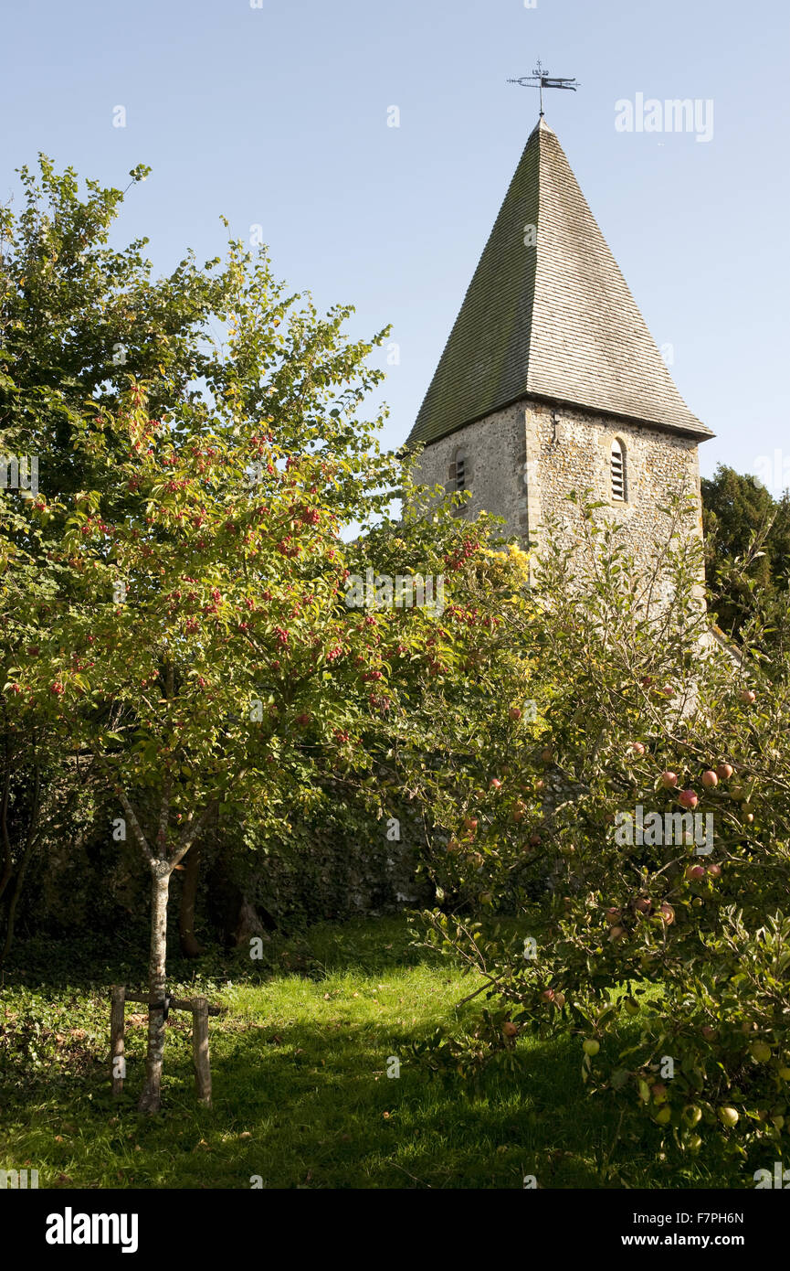 View of St Peter's Church, Rodmell from the garden at Monk's House ...