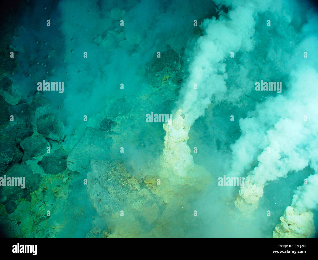 White smoky vent fluid rises out of small sulfur chimneys at Northwest ...
