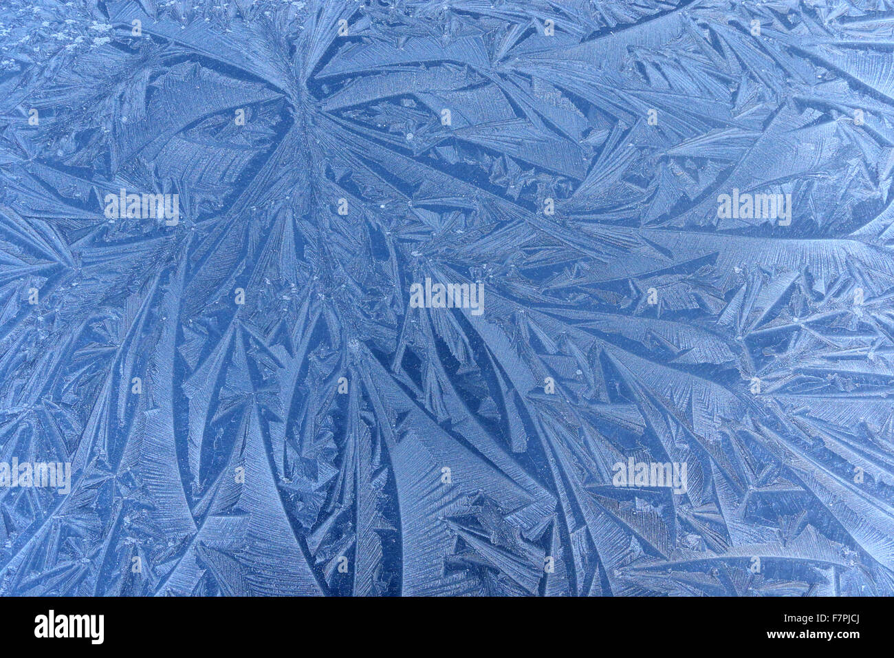 Ice patterns on a window hi-res stock photography and images - Alamy