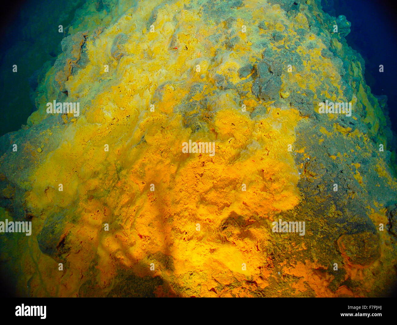 Vent bacteria hi-res stock photography and images - Alamy