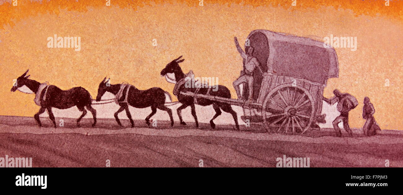 Wagon pulled by horse hi-res stock photography and images - Alamy