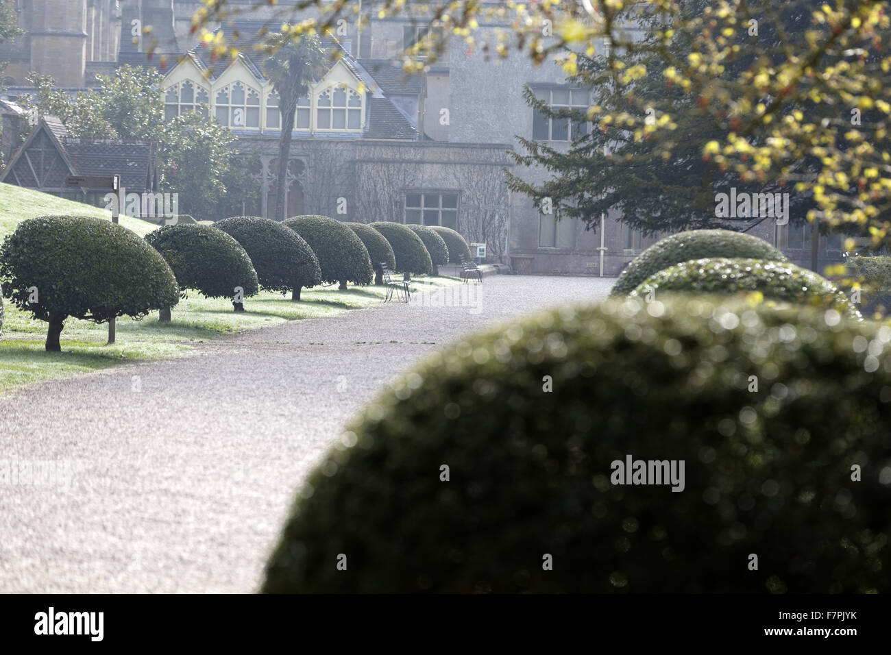 Tyntesfield house victorian gothic hi-res stock photography and images ...